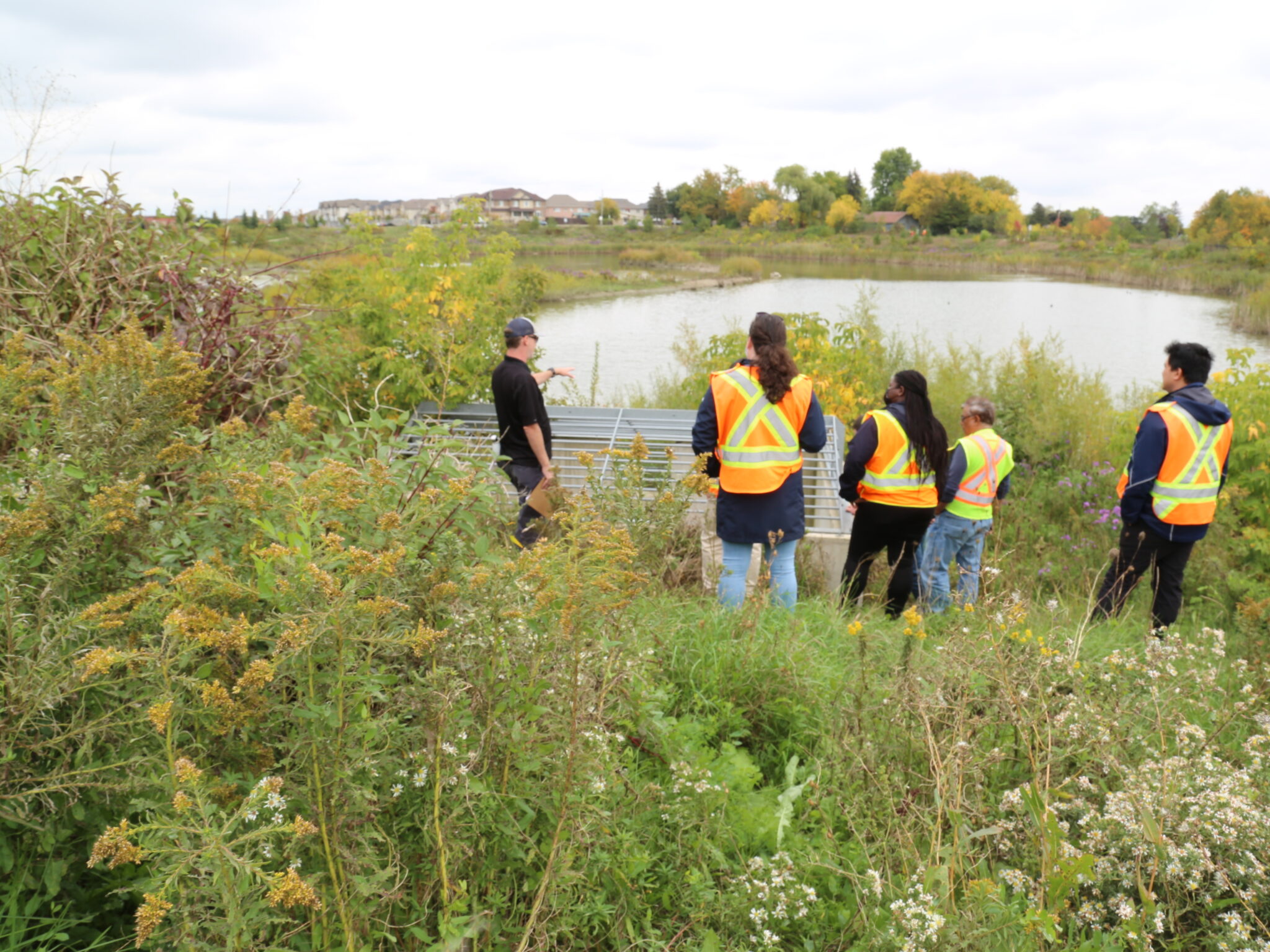 Inspection & Maintenance Training for SWM Ponds and Low Impact ...
